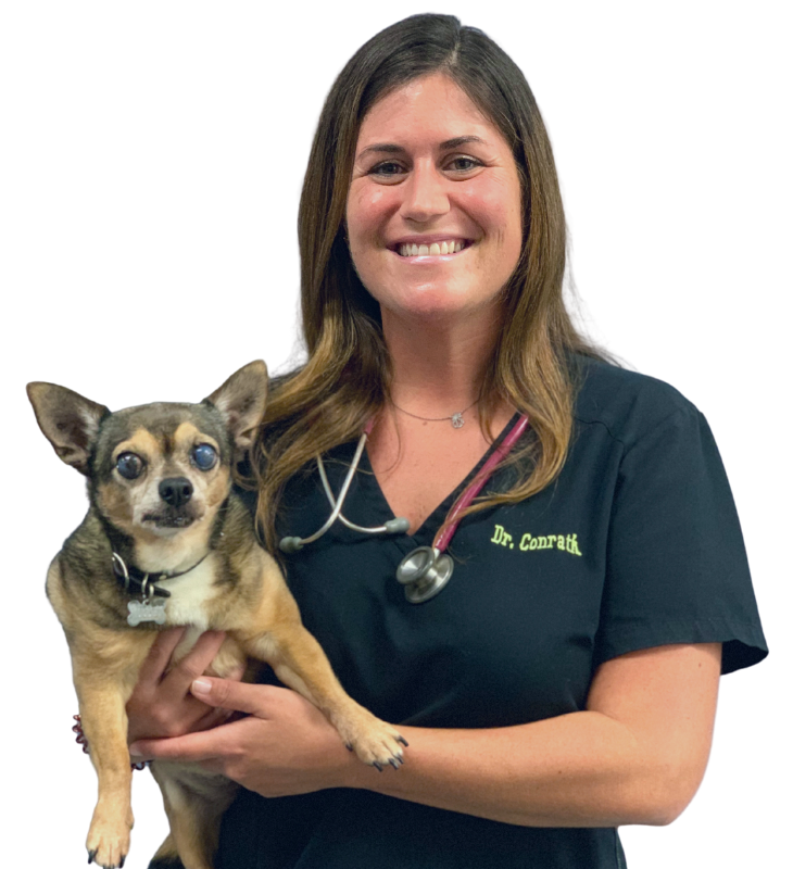 About - Lanai Veterinary Care